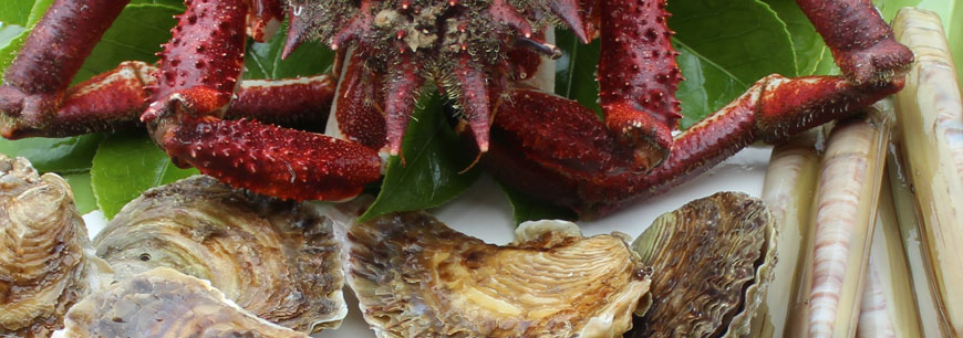 Mariscada Gallega a Domicilio. Lotes de Marisco a Domicilio