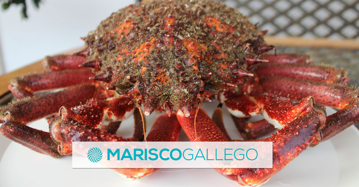 Mariscada Gallega a Domicilio. Envío 24h directo de Lonja