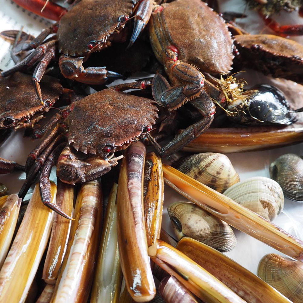 Mariscada Gallega a domicilio para 4 personas, especial Navidad. Envío ...