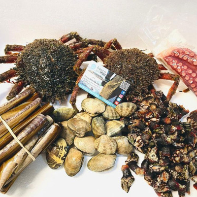 Marisco gallego y pescado fresco a domicilio. Pescadería online